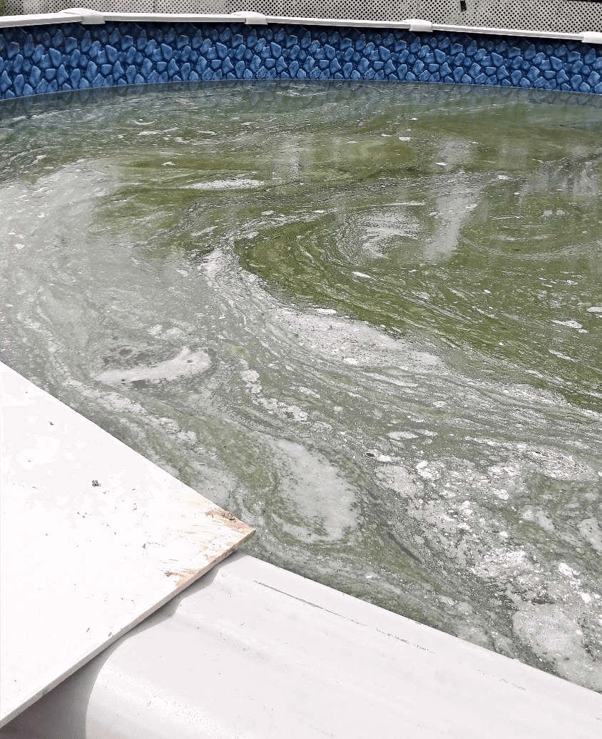 Swimming pool maintenance. A green pool is NOT cool. – Veldon A. Limited